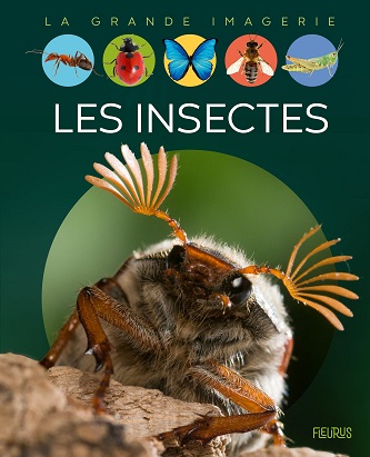 8 super livres sur les insectes pour la jeunesse