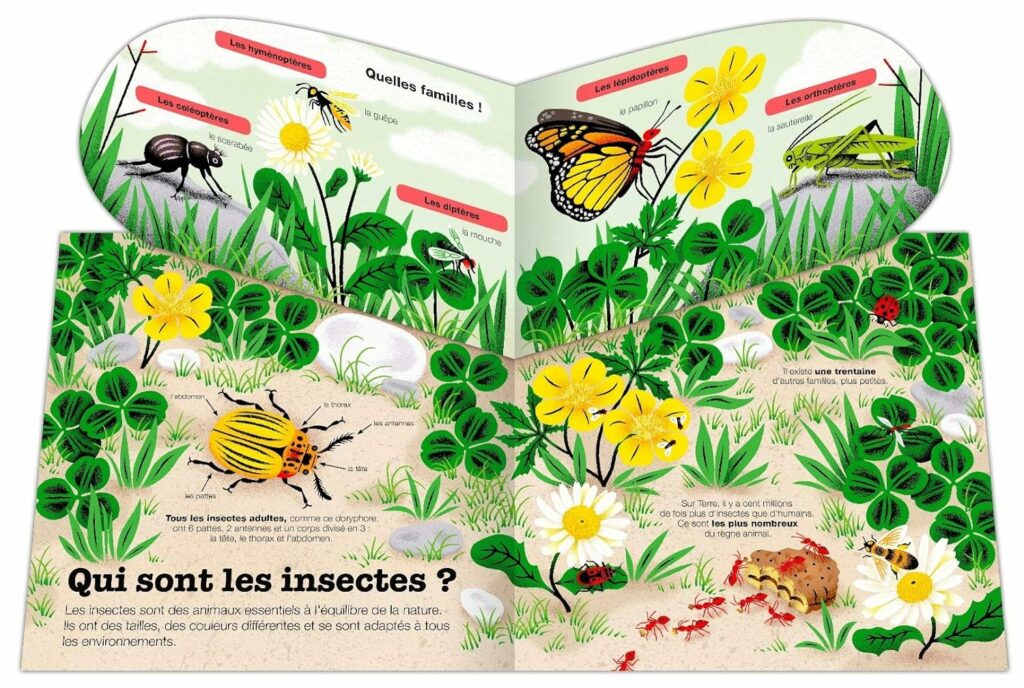 8 super livres sur les insectes pour la jeunesse