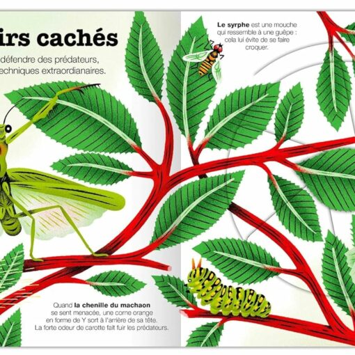 8 super livres sur les insectes pour la jeunesse