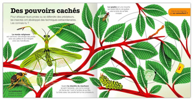 8 super livres sur les insectes pour la jeunesse