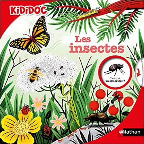 8 super livres sur les insectes pour la jeunesse