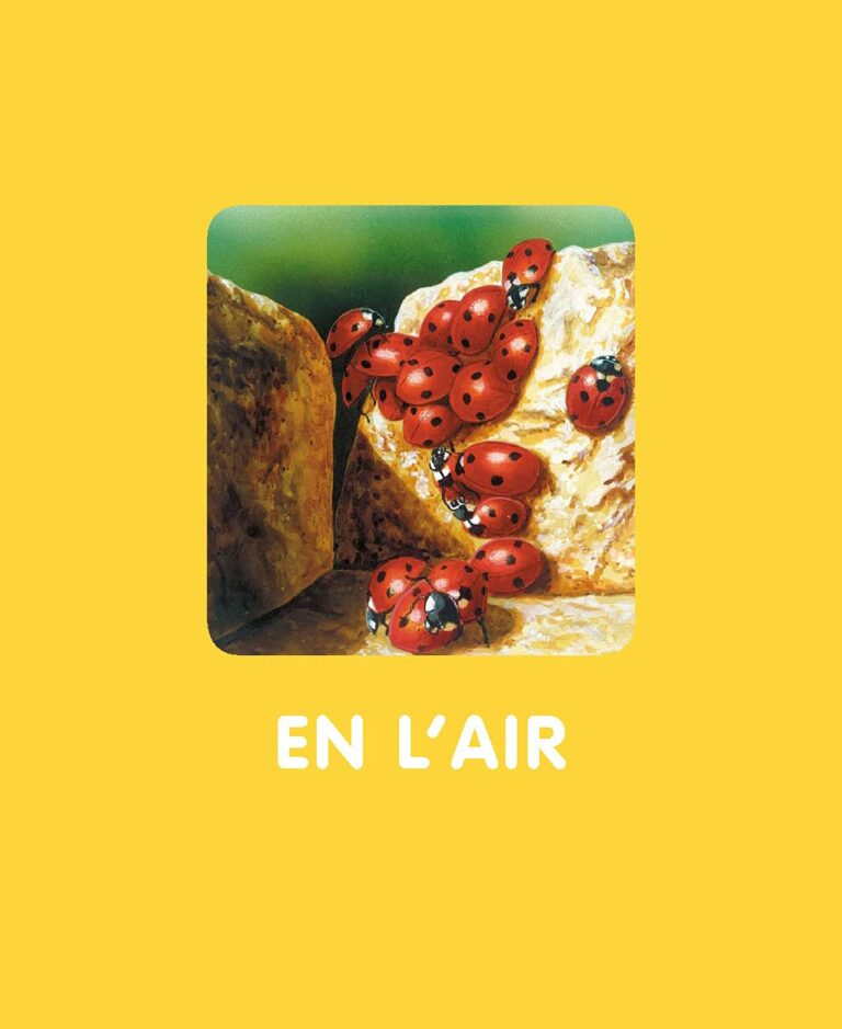 8 super livres sur les insectes pour la jeunesse
