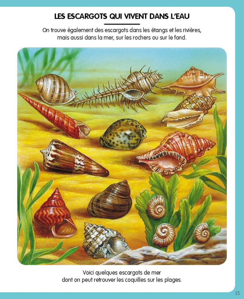 8 super livres sur les insectes pour la jeunesse