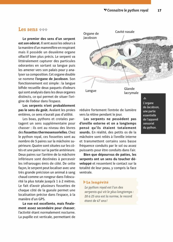 10 beaux livres sur les serpents pour tout savoir de ces étonnants reptiles