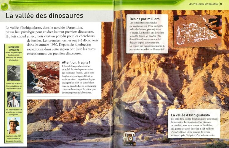 13 super livres sur les dinosaures pour la jeunesse