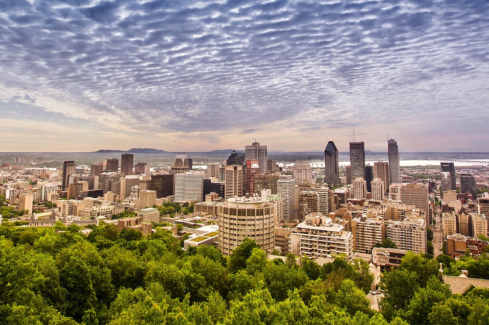 Montréal : 5 super guides pour planifier son séjour dans la cité des ...