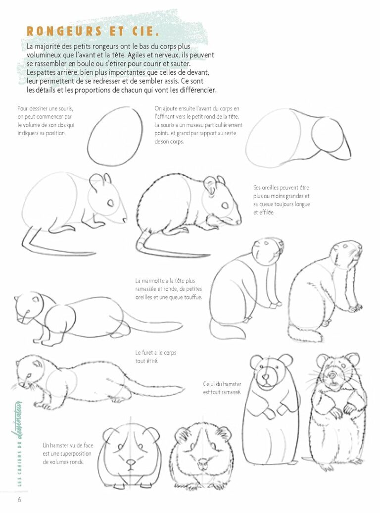 6 livres pour apprendre à dessiner les animaux sur de bonnes bases