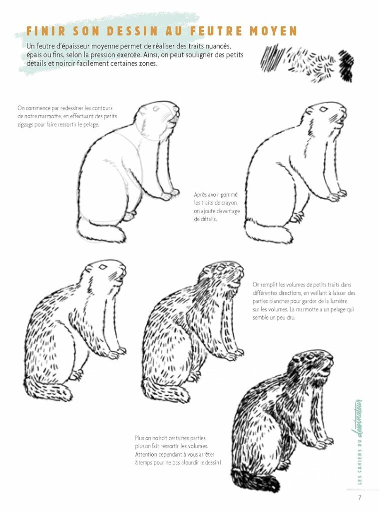 6 livres pour apprendre à dessiner les animaux sur de bonnes bases
