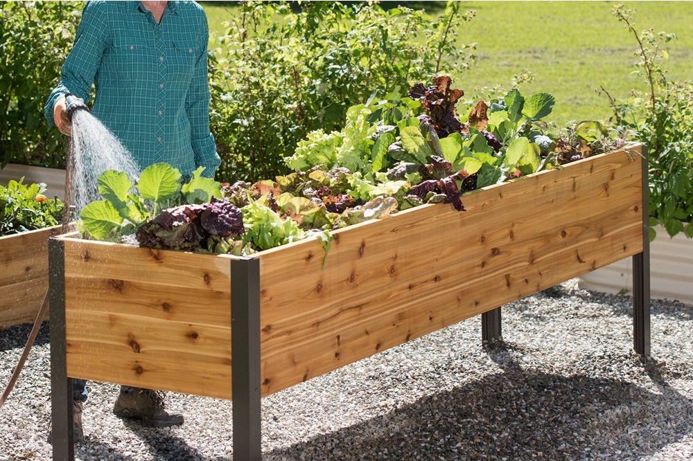 5 Super Livres Pour Am nager Un Potager Sur lev Sur De Bonnes Bases 5-super-livres-pour-am-nager-un-potager-sur-lev-sur-de-bonnes-bases