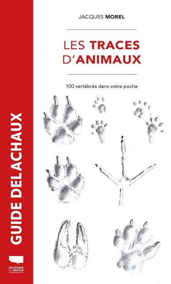 9 guides de référence pour identifier les traces d'animaux facilement