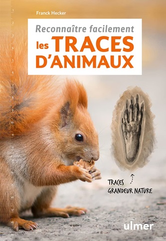 9 guides de référence pour identifier les traces d'animaux facilement