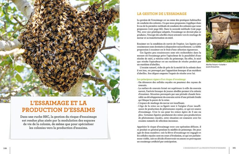 9 livres de référence pour débuter l'apiculture sur de bonnes bases