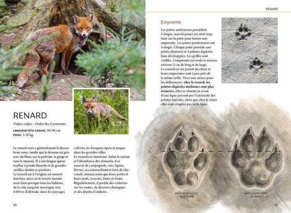 9 guides de référence pour identifier les traces d'animaux facilement