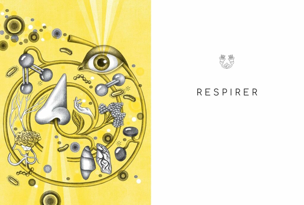 9 livres de référence sur la respiration et ses étonnantes vertus