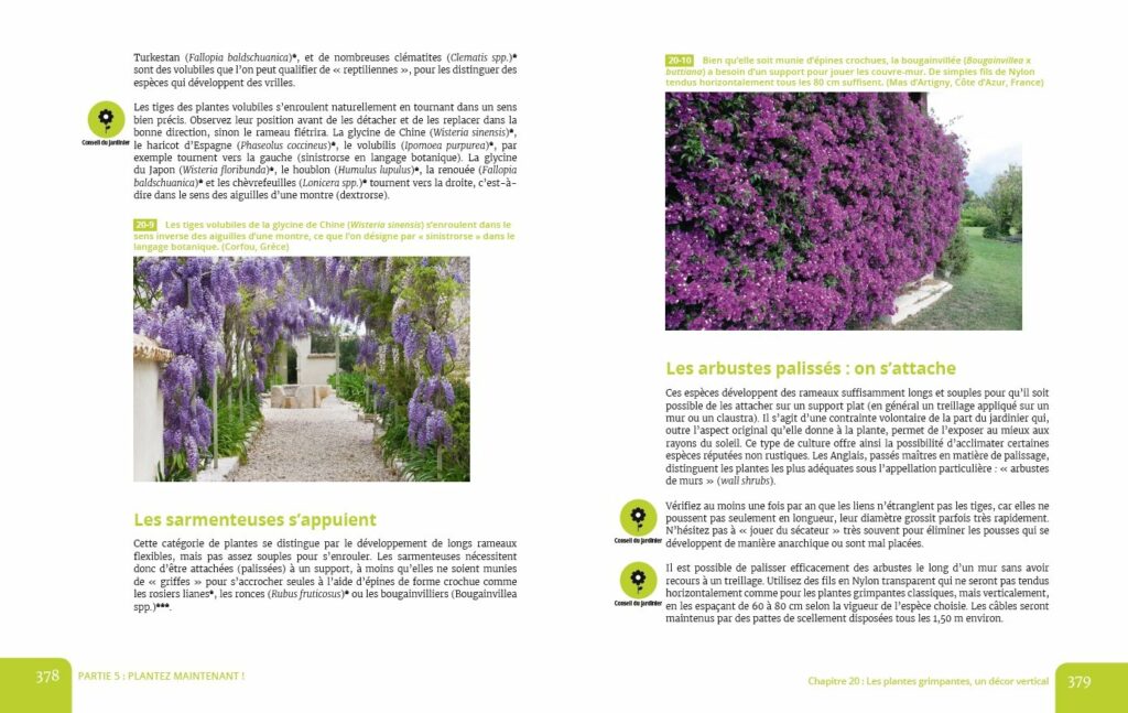 7 livres de référence pour débuter le jardinage sur de bonnes bases