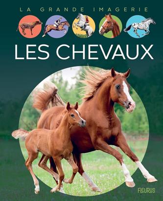 7 super livres sur les chevaux pour la jeunesse