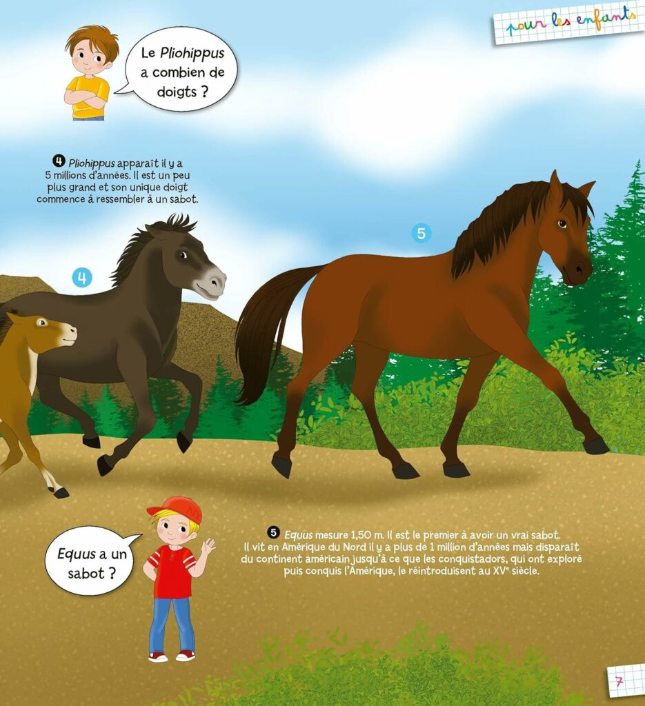7 super livres sur les chevaux pour la jeunesse